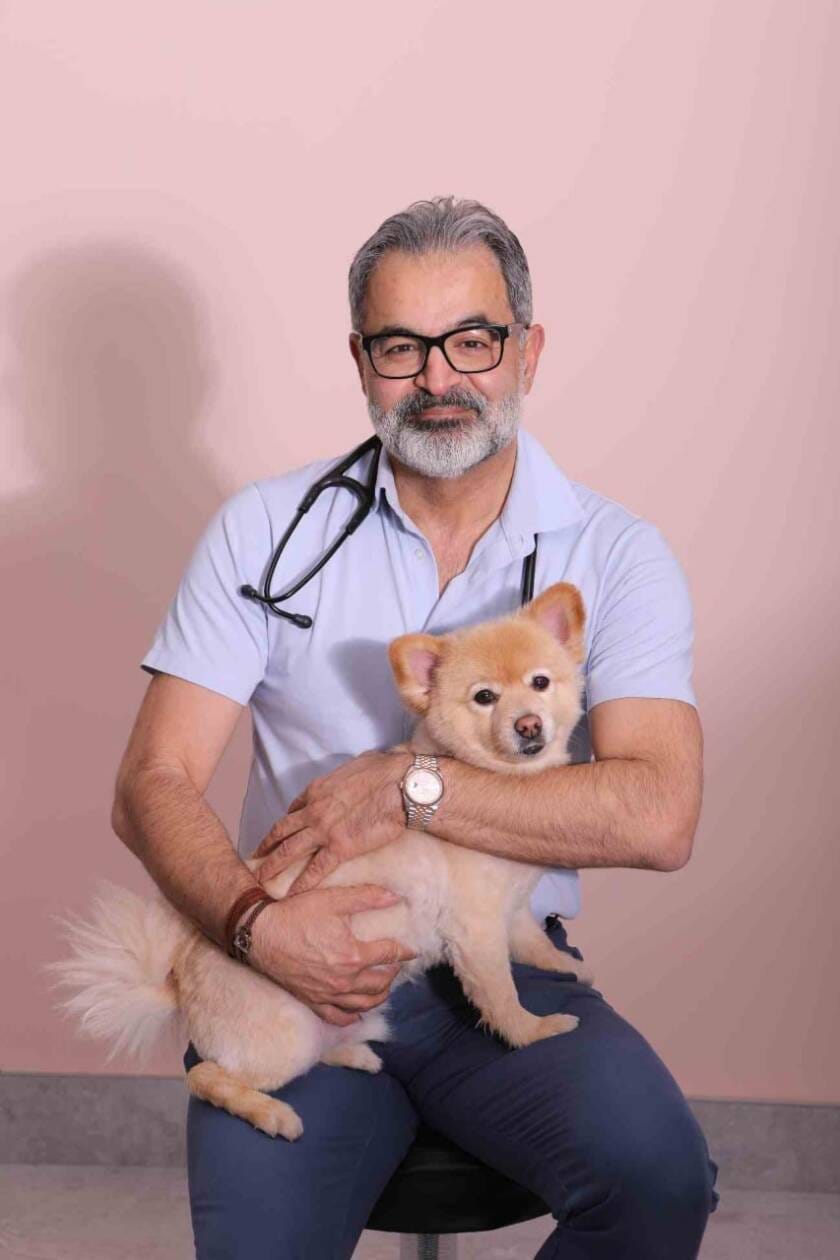 Our Team - York Veterinary Hospital